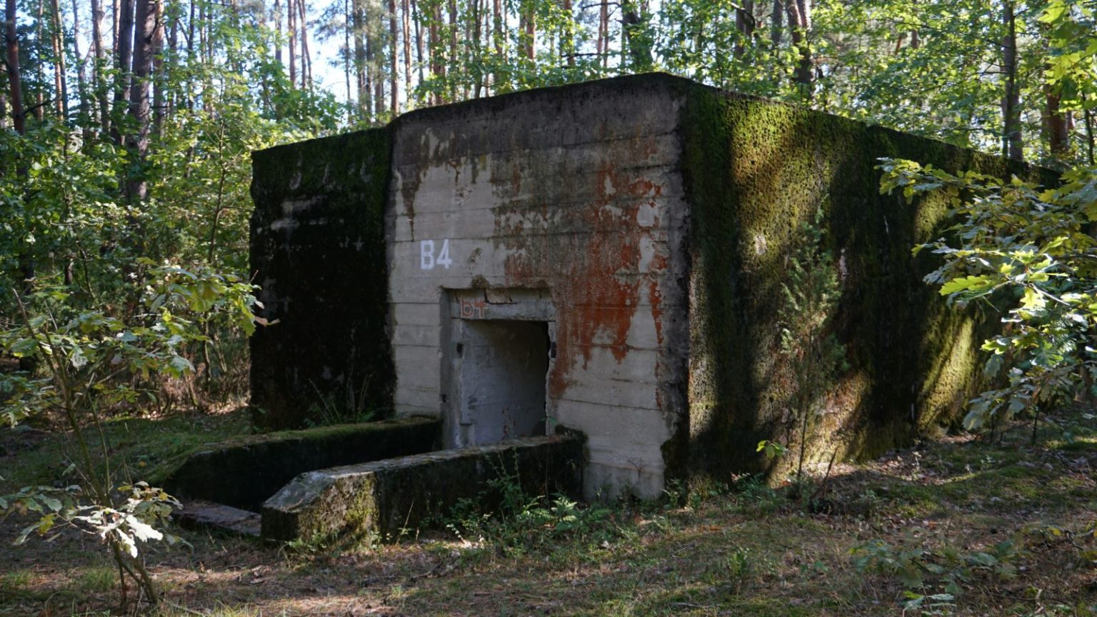 Schrony i bunkry w Polsce. Obóz ukryty w lesie ⋆ Jedź w Polskę!